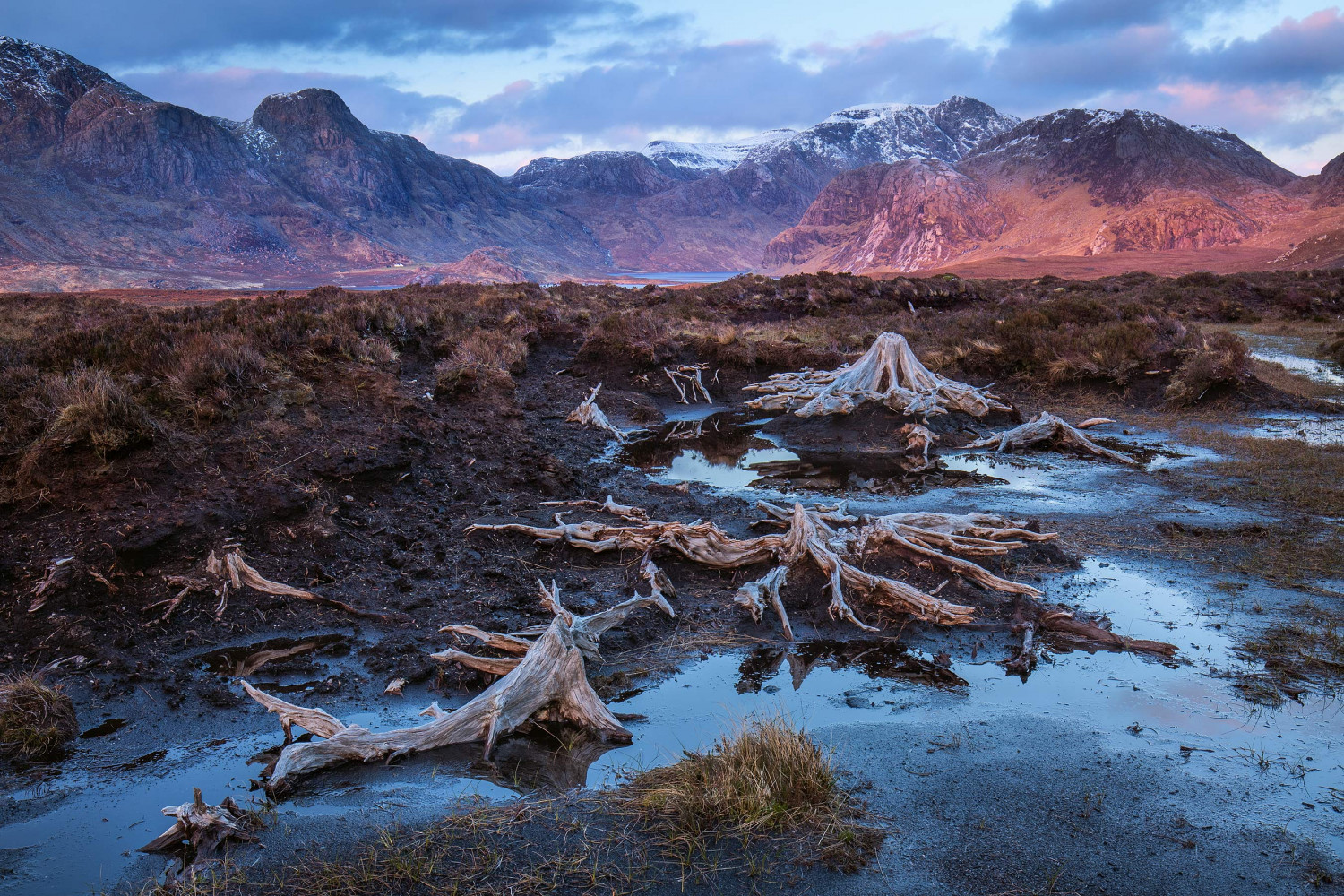 Skeletal | Fisherfield, NW Highlands.